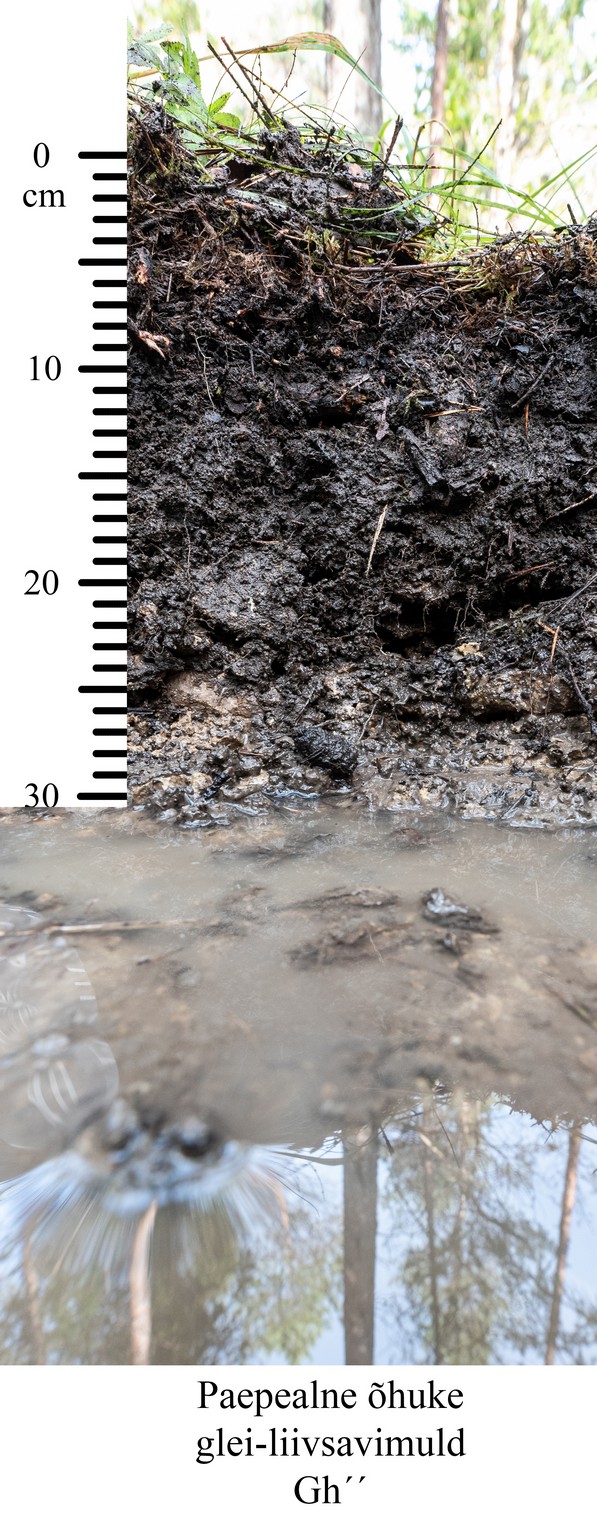 301 Moved Permanently